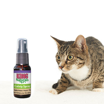 Kong Catnip Spray - Snuffelplezier
